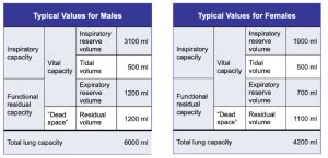 Respiratory Volumes And Capacities Integrated Human Anatomy And Physiology