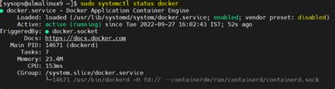 How To Install Docker On Almalinux 9 Step By Step
