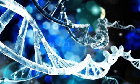 Human Gene X Chromosome Stock Illustration Illustration Of Microscopic 332202737