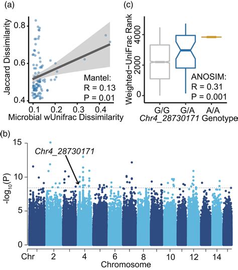 Genome‐wide Associations Between Tea Camellia Sinensis Genetic Download Scientific Diagram