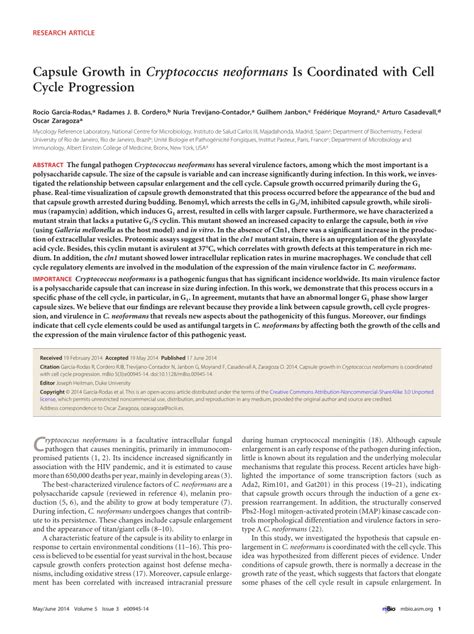 Pdf Capsule Growth In Cryptococcus Neoformans Is Coordinated With Cell Cycle Progression