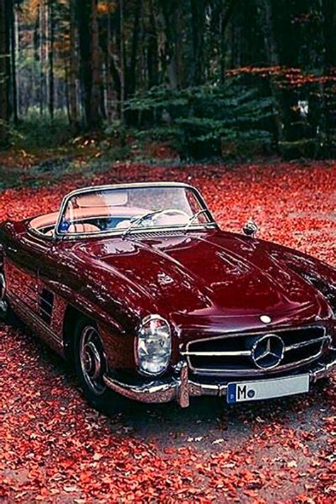 Classic Red Mercedes In The Woods