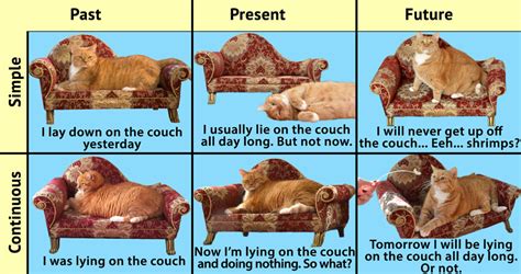 English Grammar By Zarathustra The Cat