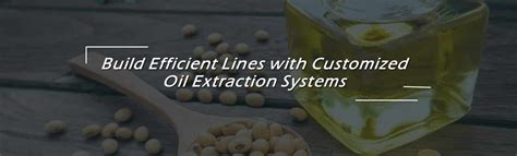 Soybean Oil Machine Solvent Extraction Process For Efficient Oil Yield