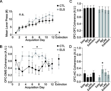 Early Life Seizures Alter Habit Behavior Formation And Fronto Striatal Circuit Dynamics
