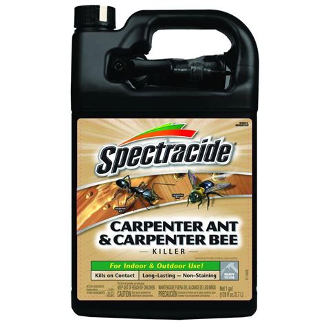 Best Insecticide To Kill Carpenter Bees At Zelma Radford Blog