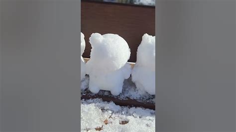 하얀겨울의 주인공 귀여운 곰 Youtube