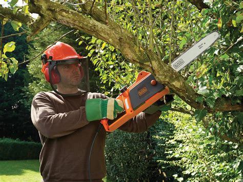 Tree Pruning Power Tools Tooled Up Blog