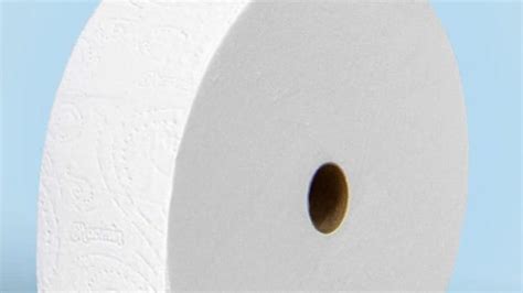 This Massive Toilet Paper Roll Will Last For A Long Time