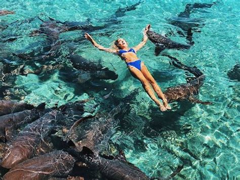 An Instagram Model Was Posing With A Group Of Sharks When One Bit Her