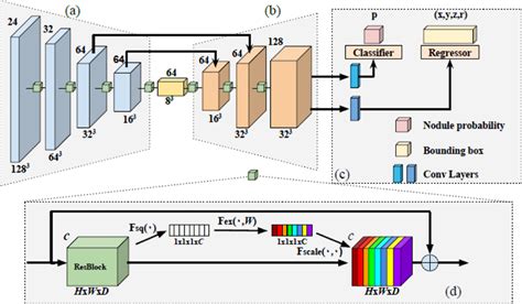Deepseed 3d Squeeze And Excitation Encoder Decoder Convolutional
