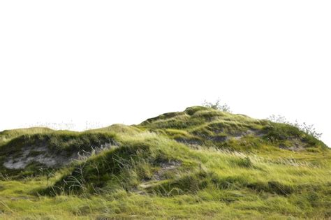 Green Grassy Hill Landscape Nature Premium Ai Generated Image
