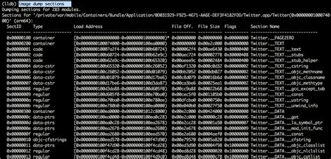 Ios Application Security Part 42 Lldb Usage Continued Infosec