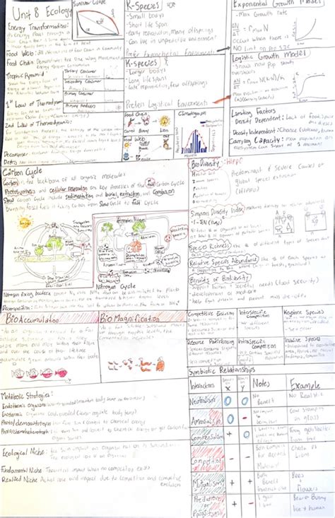 DIY Blogs Ap Bio Notes