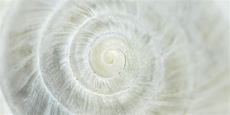 ストレージの機能 スナップショットとは？その用途や特徴、バックアップとの違いを解説 Netapp