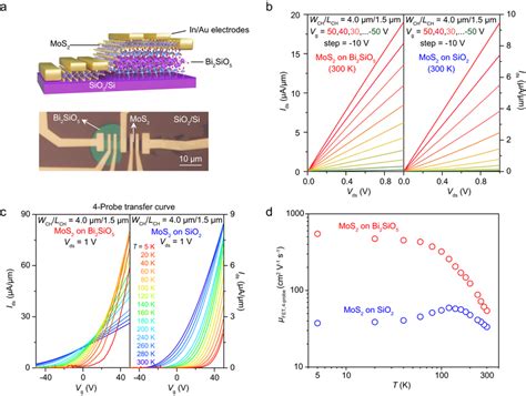 Dielectric Screening And Mobility Enhancement Effects Of Cvd Grown