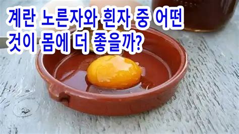 계란 노른자와 흰자 중 어떤 것이 몸에 더 좋을까 Youtube