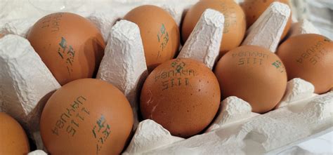 달걀 껍질에 흰색 얼룩닭털 있어요 ㅣ 궁금할 땐 아하