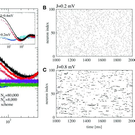 large amplification of slow fluctuations explains heterogeneous