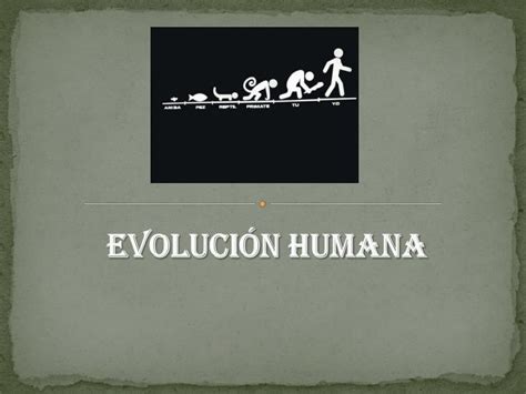 Ppt Evolución Humana Powerpoint Presentation Free Download Id3121571