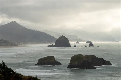 Quick Guide To Ecola State Park — Pines And Vines