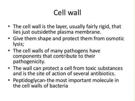 General Microbiology Structure Of Bacterial Cells Ppt