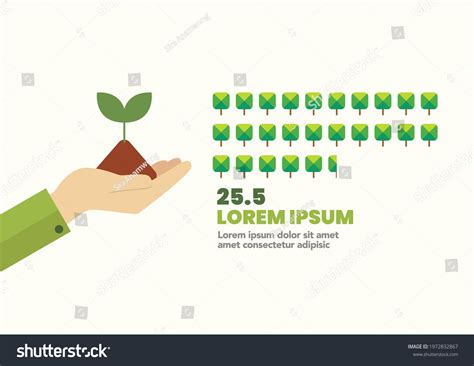 Planting Tree Infographic Vector Illustration Stock Vector Royalty Free 1972832867 Shutterstock