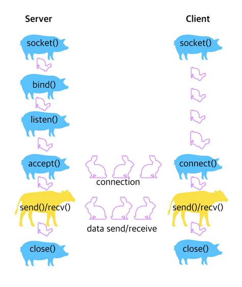 11 소켓 프로그래밍 기초 · Unixbasic