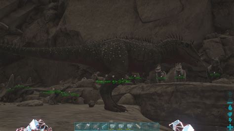 First Mutation R Ark