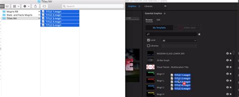 Adobe Motion Graphics Templates