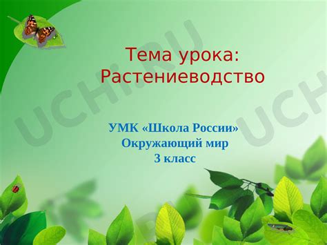 📈 Презентация №11 по теме “Презентация к уроку окружающего мира по теме Растениеводство” для