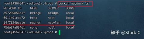 【一文讲透】docker容器使用ipv6网络的终极方案：搭建macvlan网络模式实现ipv4andipv6双通 知乎