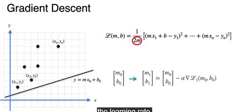Error In Illustration In Video Optimization Using Gradient Descent