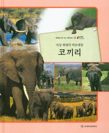 코끼리 예종화 교보문고