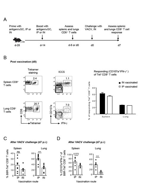 Figure S3 Related To Figure 3 Download Scientific Diagram