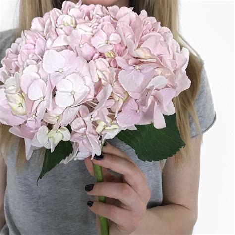 Сладких розовых снов 🌸💭с нереально красивыми декорациями и Вами с нереально красивыми волосами