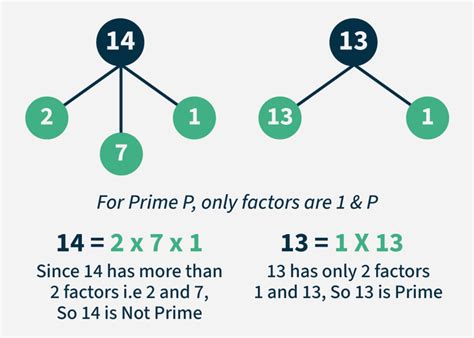 Prime Numbers GeeksforGeeks