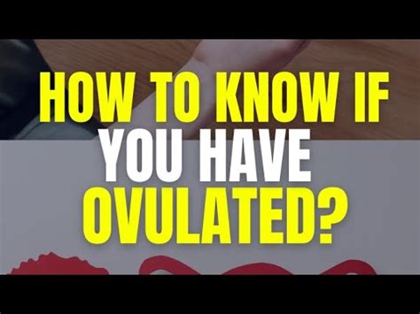 How To Know If You Have Ovulated I Ovulation Tracker I Tracking Your Ovulation YouTube