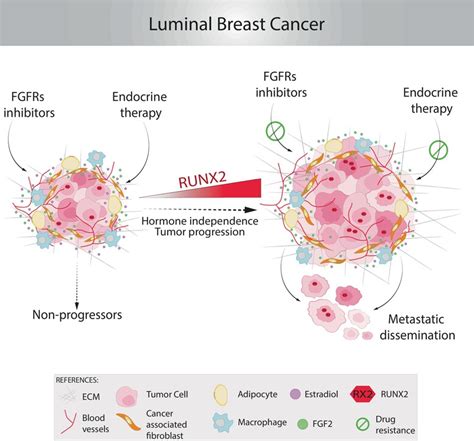 International Journal Of Cancer Vol 156 No 10