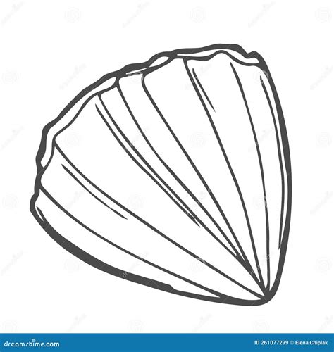 Sea Shell Scallop Vector Sketch Illustration Seashell Outline Icon