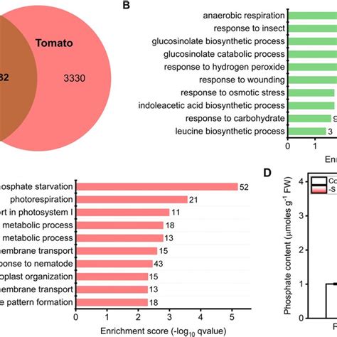 Comparative Transcriptome Analysis Of Arabidopsis And Tomato Plants In Download Scientific