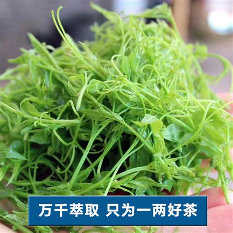富硒莓茶张家界特级野生龙须芽尖茅岩霉正品土家莓茶叶永顺长寿藤虎窝淘