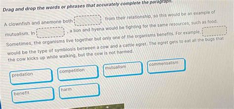 solved drag and drop the words or phrases that accurately complete the