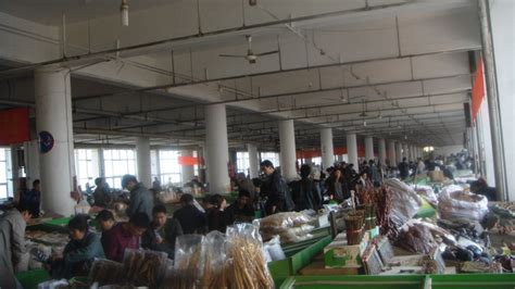 我公司营销中心人员在河北安国中药材市场进行市场调研 集团新闻 广西云天集团