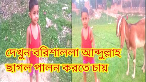 দেখুন বরিশাললা আব্দুল্লাহ ছাগল পালন করতে চায় আব্দুল্লাহর ছাগলের সাথে