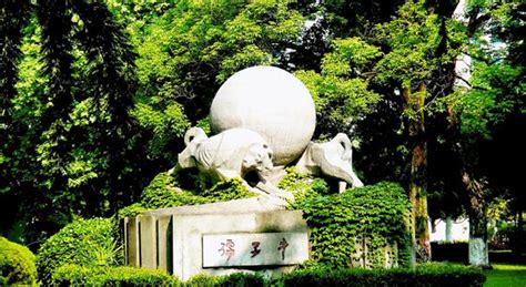 国家杰出青年科学基金ppt设计制作美化 Wordinppt 专业学术ppt制作公司 院士增选ppt 国家科技奖ppt 杰青ppt 长江学者ppt 优青ppt 上海智演文化传播有限公司