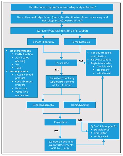 Standardized Protocol For Weaning From VA ECMO According To Eckman Et Download Scientific