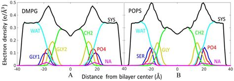 A Polarizable Atomic Multipole Based Force Field For Molecular Dynamics Simulations Of Anionic