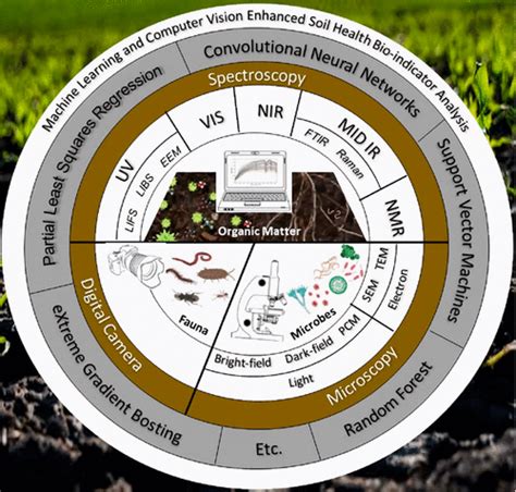 Analytical Chemistry Vol 96 No 20 Acs Publications
