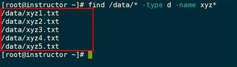 Linux Find Command With Examples Devopstut